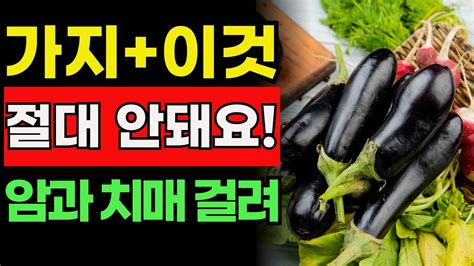 가지와 이것 절대 먹으면 안돼요 가지를 이것과 같이 먹고 온갖질병이 싹 사라졌어요 보라색 보약 가지의 효능 당뇨예방 항암식품혈관건강 혈압조절 혈당조절 염증제거