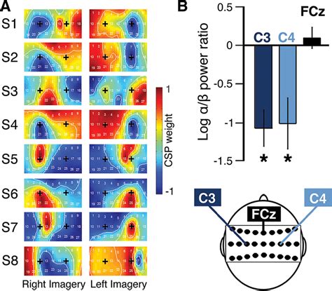 Cursor Control Driven By Bilateral Sensorimotor Mu And Beta Band Download Scientific Diagram