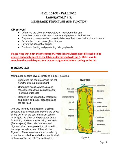 Lab Introduction And Protocol Membranes Biol U Fall Laboratory Membrane