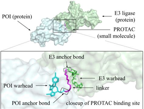 [논문 리뷰] Proflow An Iterative Refinement Model For Protac Induced Structure Prediction