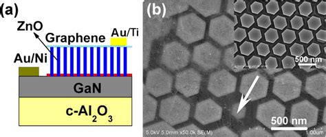 schematic structure of the leds and sem image of the zno nanorod array