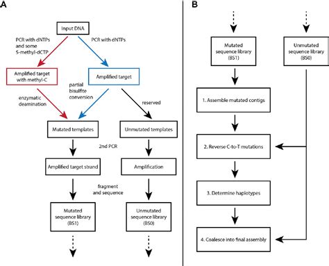 Figure 1 From Targeted De Novo Phasing And Long Range Assembly By