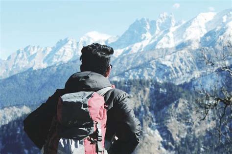 Light Blue Bootstrap Dashboard Tables Basic