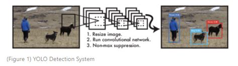 You Look Only Once Unified Real Time Object Detection Yolo 논문 리뷰