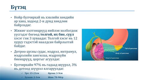 Нойр булчирхай гэж юу вэ Youtube