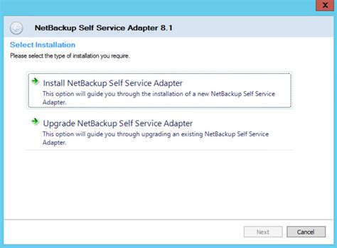 Netbackup Self Service Nss Netbackupguru