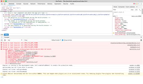 Ionic Map Provider Example Showing Only White Blank Map · Issue 2281