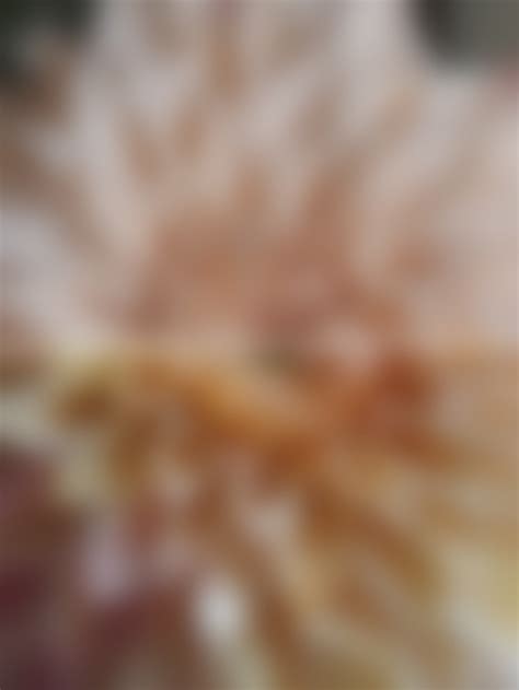 Наталья Осадчук ВКонтакте