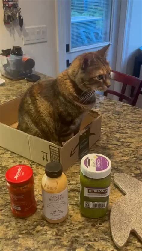 Deep Fried I Think Album On Imgur