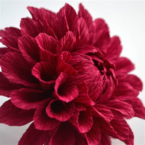 Декор из бумаги On Instagram “ Crepepaperflowers Cartotecnicarossi Paperflowers Paperdesign