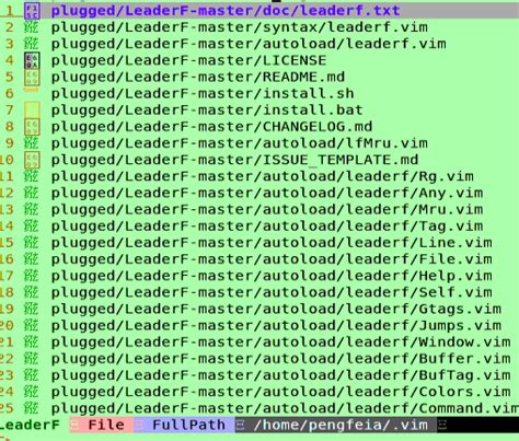 有乱码 Issue 969 Yggdroot LeaderF GitHub