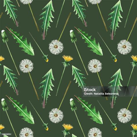 민들레 꽃과 녹색 잎이 있는 수채화 원활한 패턴 하얀 고립된 배경에 클립아트 식물 초원 그림을 손으로 그린다 디자이너 장식 엽서 포장지 스크랩북 표지 초대장 웨딩 데 개체