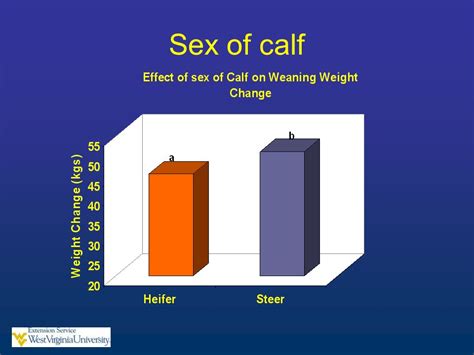 Evaluation Of Forage Based Weaning Systems In Spring Born Cross Breed Beef Calves Ronnie