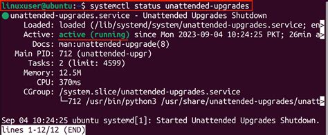How To Configure Automatic Security Updates On Ubuntu LinuxWays