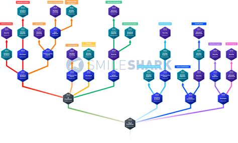 AWS Certification Types And Levels Updates You Must Know