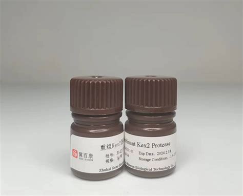 Recombinant Kex2 Protease Gene Biocon