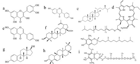 负载磷酸三钙的白粉藤提取物增强天然聚合物复合材料用于引导骨再生 Journal Of Materials Science Materials In Medicine X Mol