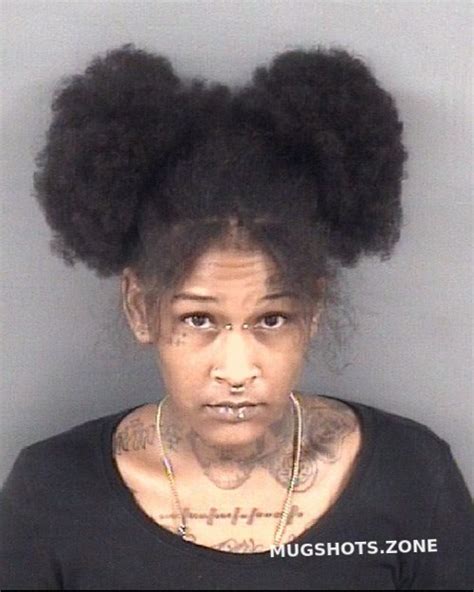 Drayton Nelana Lyneisha 11 15 2022 Cumberland County Mugshots Zone