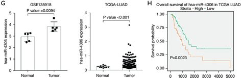 Selecting MiRNA S That Could Affect Lung Adenocarcinoma A B Volcano
