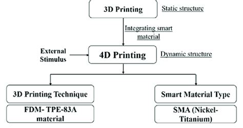 Schematic Representation Of Relation Between The 3d And4d Printing Download Scientific Diagram Schematic Representation Of Relation Between The 3d And4d Printing Download Scientific Diagram