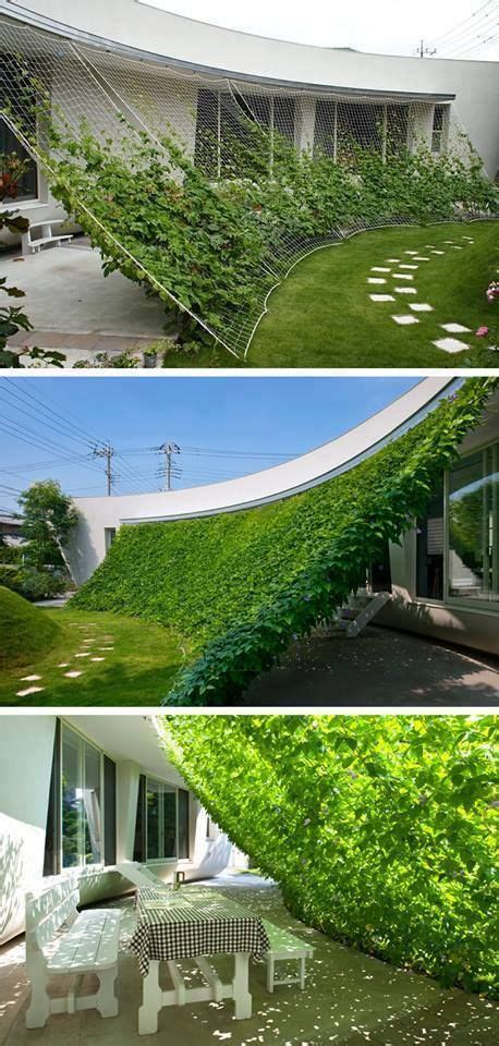 Eco Friendly And Gorgeous Idea For Creating A Natural Canopy This Would Be Super Easy And