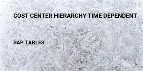 cost center hierarchy time dependent table in sap