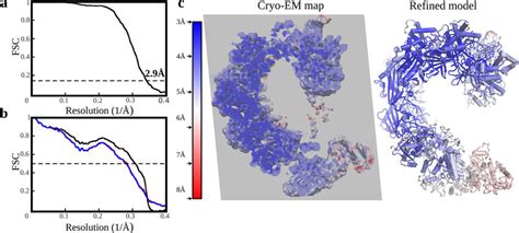 Fsc Curves Local Resolution And Unsharpened Filter Maps For The