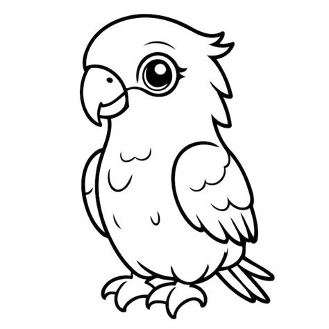 Cute Parrot Drawing Picture