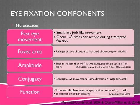 Fixation Characteristics And Abnormalities