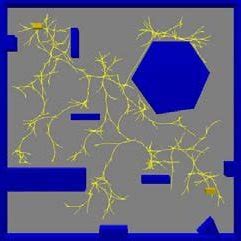 Bidirectional Search Vs Unidirectional Search Download Scientific Diagram