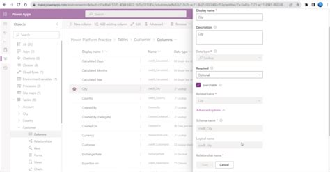 Retrieval Of Different Datatypes With Formcontext Data Objects On Model Driven Dynamics 365 Forms
