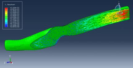 Bio Mechanical Abaqus Simulation Full Package CAE Assistant