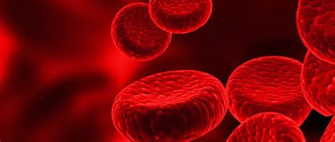 Comment Diagnostiquer La Polyglobulie De Vaquez Explication Des