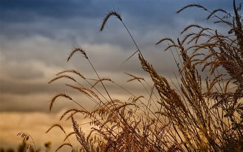 FS17 Empty Map V 1 0 FS 17 Maps Mod Download