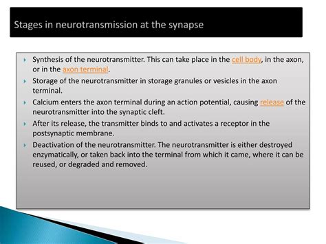 Neural Signaling And Electricl Pathway Pptx