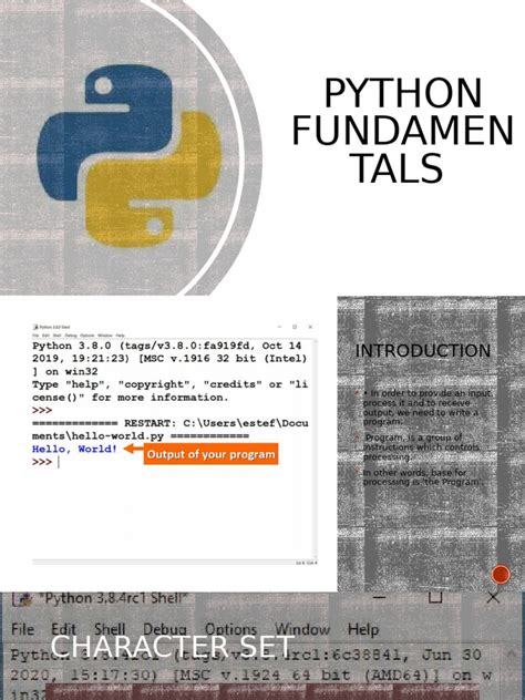 python fundamentals pdf