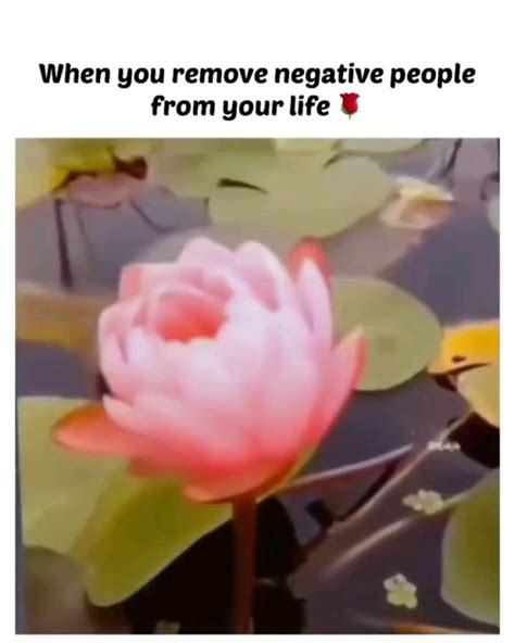 Dr Sreenivas T Posted On Linkedin