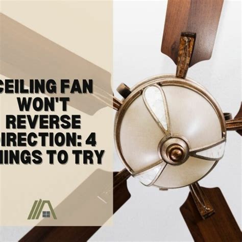 How To Replace Ceiling Fan Reverse Switch Shelly Lighting