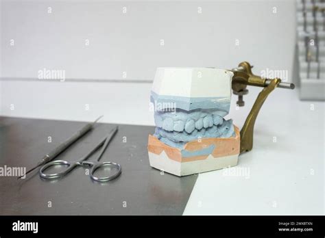A Denture Model On A Laboratory Table With Some Working Utensils It Is The Upper And Lower Jaw
