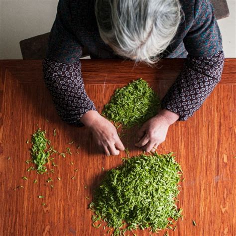 茶叶是怎么分类的？