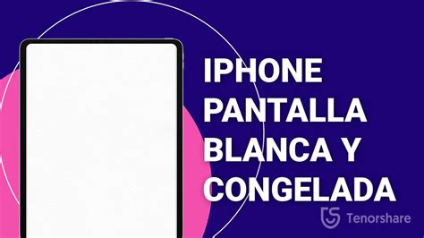 Iphone Pantalla Blanca Cómo Resolver Iphone Pantalla Blanca Y