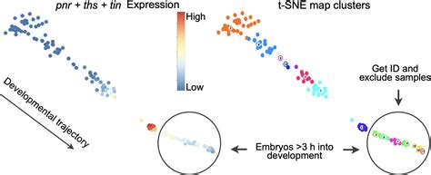 Cell Press Star Protocols