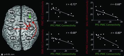 Association Between Increased Prefrontal Coupling And Decreased