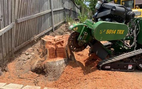 Tree Stump Removal Costs Milone S Tree Lawn Solutions