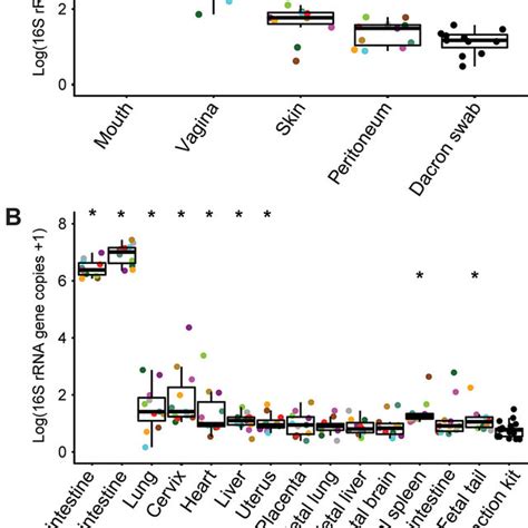 Quantitative Real Time Pcr Analyses Illustrating Variation In Bacterial