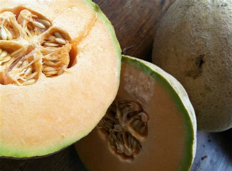 Melon With Coulis Riverview Farms