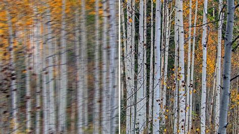 What S The Difference Between Optical And Digital Image Stabilization Coolblue Anything For