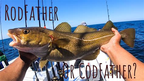 Haddock Vs Perch Taste At Daniel Mcmanus Blog