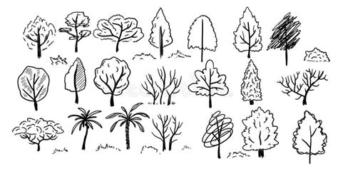 Tree Sketch Set Silhouette Of Forest Plant Doodle Outline Black Wood