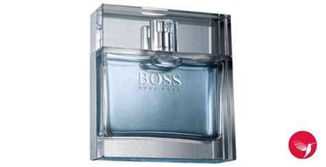 Boss Pure Hugo Boss Cologne - ein es Parfum für Männer 2008